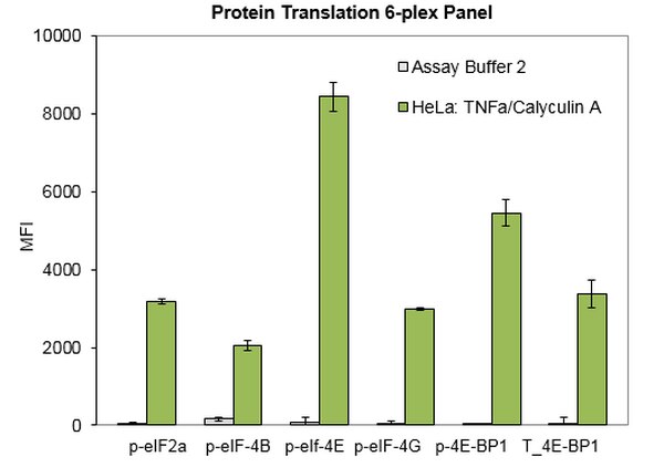 MILLIPLEX® Protein Translation Magnetic Bead 6-Plex Kit - Cell ...